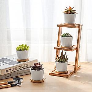 T4U 2.5 Inch Small White Succulent Planter Pots with Bamboo Tray Round Set of 12, Ceramic Succulent Air Plant Flower Pots Cactus Faux Plants Containers, White Modern Decor for Home and Office