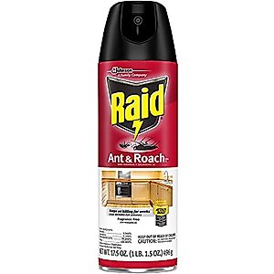 Raid Ant and Roach Killer, Fragrance Free, 17.5 OZ