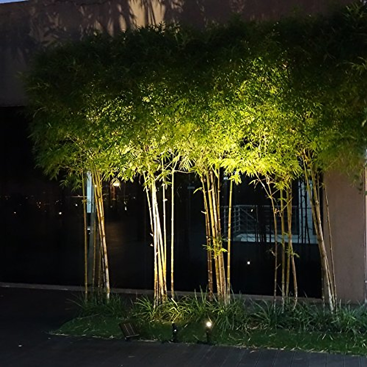 Mini 50X Twin Solar-Powered Cast Aluminium Warm White LED Spotlight 60-100 Lumen Per Light Fixture for Outdoor Garden Yard Landscape Downlight