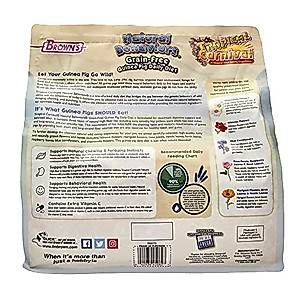 Tropical Carnival F.M. Brown's Tropical Canival Natural Behaviors Grain-Free Guinea Pig Daily Diet - 4lb