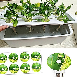 ZHUOMINGJIA 240 Pcs Seed Pot Labels PVC Stickers for Mark Plants and Understand Plant Growth,The Minimum Size of The Hole is 9mm for Aerogarden Seed Pods Garden Plant Grow Basket Vegetables,Green