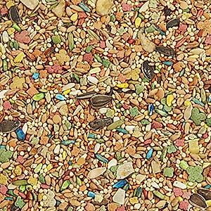 F.M. Brown's Tropical Carnival, Gourmet Bird Food for Cockatiels, Lovebirds, and Conures, Vitamin-Nutrient Fortified Daily Diet, 3 lb