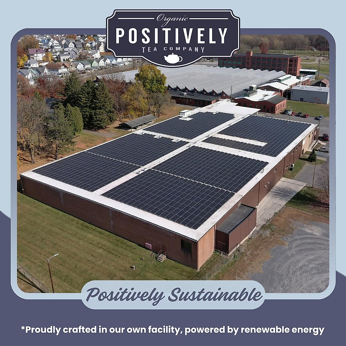 Organic Positively Tea Company, White Peach Lemonade Tea, Loose Leaf, 4 Ounce