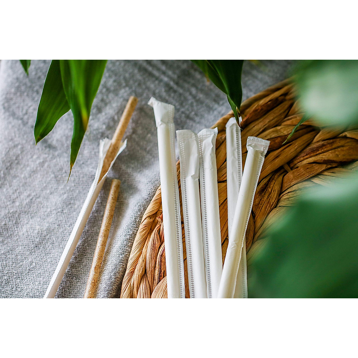 AGAVE FIBER STRAWS - 100ct Individually Wrapped Biodegradable 8.2" Straws by Ecoware. Plant Based, Eco-friendly, 100% Recyclable, Alternative to Paper & Plastic Straws