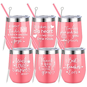 6 Pcs Christmas Teacher Appreciation Gifts Thank You Teacher Gifts for Women Stainless Steel Teacher Tumbler with Straw and Lid 12 oz Insulated Teacher Mug Birthday Gifts for Teacher(Pink)