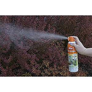 Ortho Home Defense Backyard Mosquito and Bug Killer Area Fogger 16 oz.