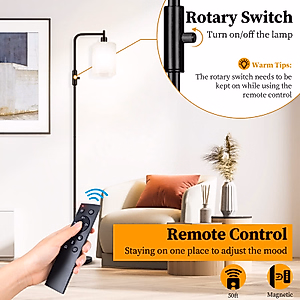 OUTON Modern Floor Lamp, Dimmable Industrial Floor Lamp with Remote Control, Stepless Color Temperature, Timer, LED Tall Stand Lamp with Hanging Frosted Glass Shade for Living Room, Bedroom, Office