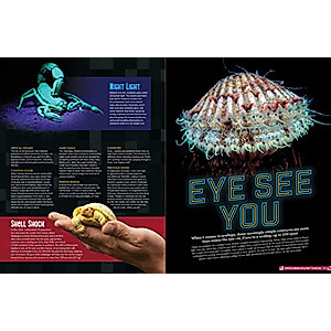 Ripley's Believe It Or Not! Level Up (20) (ANNUAL)