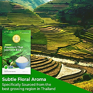 2 Pounds (LBS) Premium Thai Hom Mali Jasmine Rice | Endorsed By Pro Chefs | Four Elephants Brand | DIY Friendly Cooking Instructions Packaging