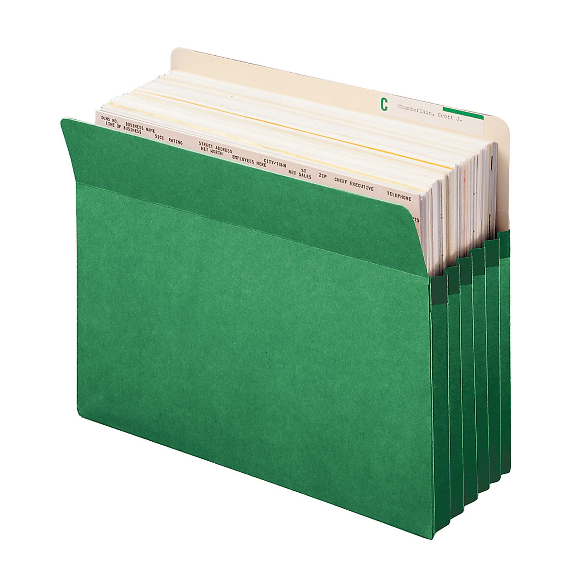Smead File Pocket, Straight-Cut Tab, 5-1/4" Expansion, Letter Size, Green, 10 per Box (73236)