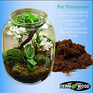 Fernwood Orchid Growing Medium and Reptile Substrate- Natural, Organic, Long Lasting | for Orchids and Other Epiphytes | Use in Terrariums and Vivariums | 10 Liters (9.1 U.S. Quarts)