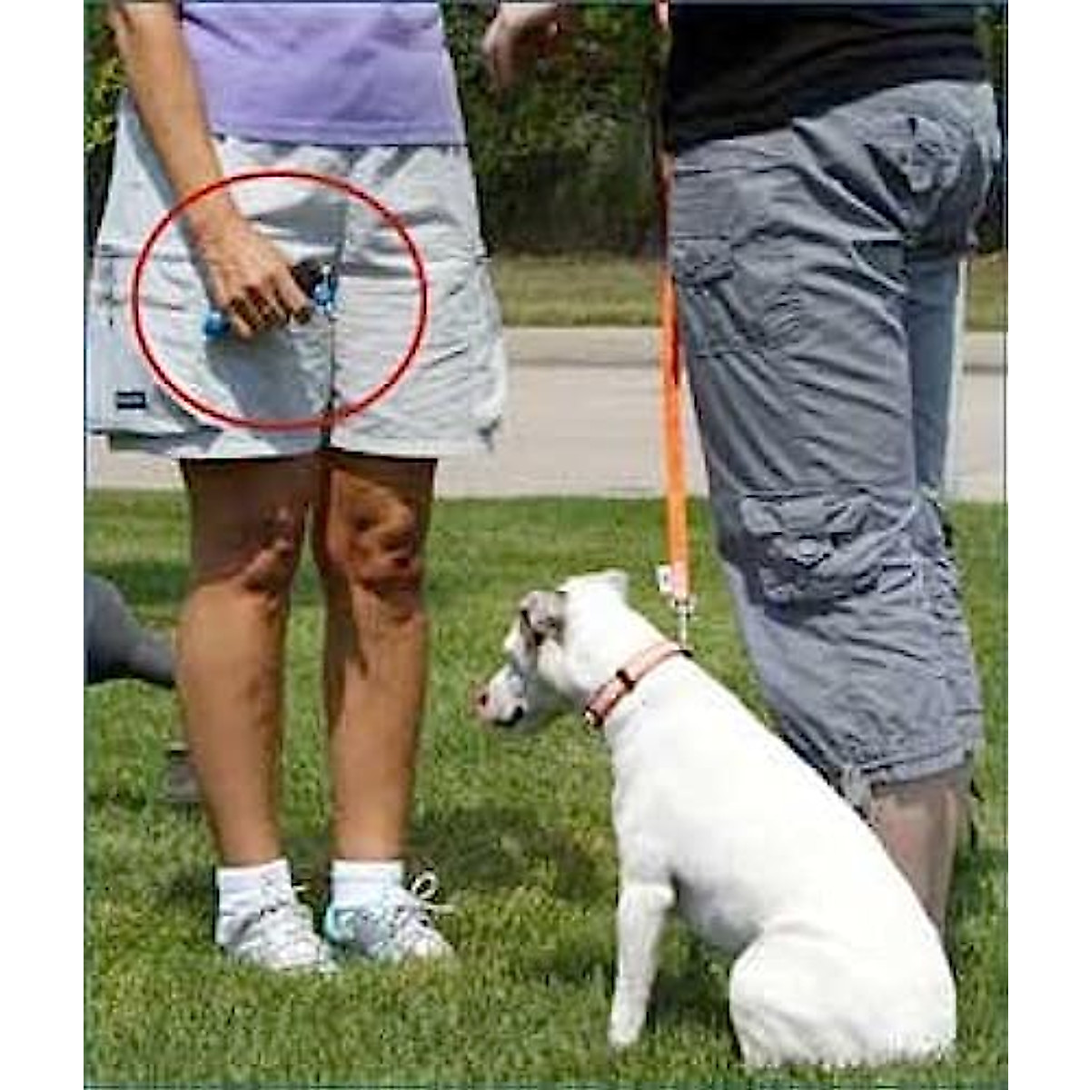 Canine Innovations Pet Convincer 2 - Air Training Tool Dogs