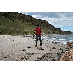 Minelab Equinox 900 Metal Detector with EQX 11” Double-D Coil and EQX 6” Double-D Coil