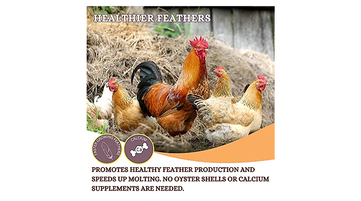PICKY NEB Dried BSF Larvae Grubs - High-Protein Treats