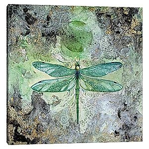 iCanvas SLW48 Dragonfly V Canvas Print by Stephanie Law, 26" x 26" x 0.75" Depth Gallery Wrapped