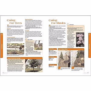 Gardening 1-2-3 (HOME DEPOT 1-2-3)