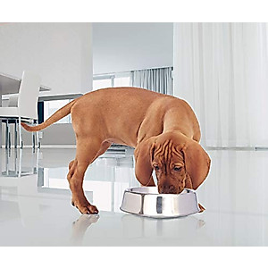 Iconic Pet 16 oz/ 2 Cup Anti Ant Stainless Steel Non Skid Pet Food/Water Bowl - Noise Free Ant Resistant Dog/Cat Feeding Bowl with Unique Design & Rubber Base Makes It an Elegant Ant Proof Dish