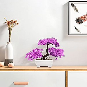 ZEEOZE Artificial Bonsai Tree Cloud Pine Bionic Plant Indoor Small Fake Plants Decor Zen Garden Desk Home Desktop Office Bathroom Shelf Bedroom Living Room Decorations (Rose Red)
