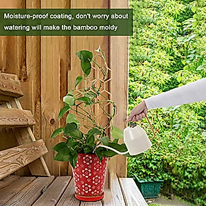 WellSign Wooden Trellis for Potted Plants, 16inch Small Garden Plant Trellis for Climbing Plants Indoor with Moisture-Proof Layer for Ivy Vine Plant, Honeycomb Trellis Flower Pot Plant Support 2Pack