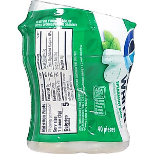 ORBIT WHITE Spearmint Sugarfree Gum, 40 Piece Bottle