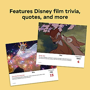 Disney 2021 Daily Calendar