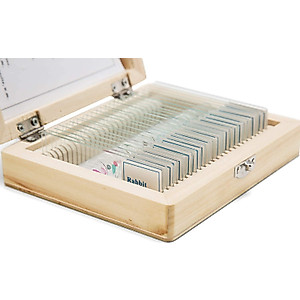 25pc Assorted Specimen Collection of Prepared Microscope Slides Glass Slide