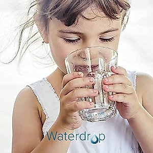 Waterdrop WD-PF-01A Plus Replacement Filters for All Waterdrop Pitcher Filtration System, Last Up to 3 Months or 200 Gallons (Pack of 3)