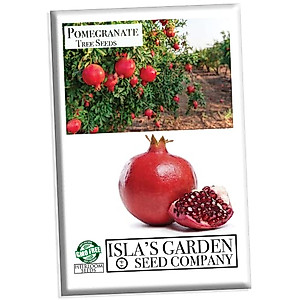 Pomegranate Tree Seeds for Planting, 30+ Fruit Tree Seeds, Tall & Beautiful Tree, (Isla's Garden Seeds), 85% Germination Rates, Great Home Garden Gift