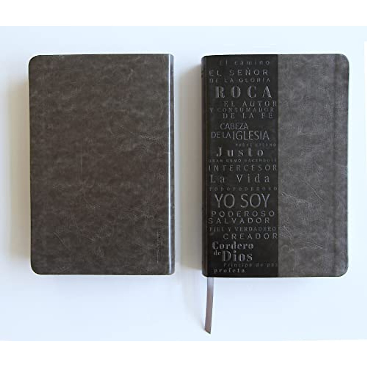 Biblia RVR 1960 letra grande tamaño manual, simil piel gris con nombres de Dios / Spanish Bible RVR 1960 Handy Size Large Print Leathersoft Grey, Names of god