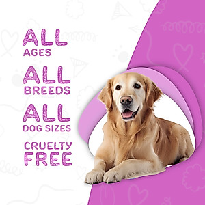 waggedy Advanced Probiotics Gut & Digestion Food Topper — Digestive Enzymes w/Papaya — Probiotic Powder — Dog Supplement Powder — Products for Dogs Over 6 Weeks (114g)