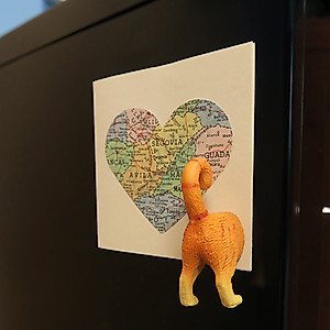 6 Pack - Evelots Refrigerator Magnets-Cat Butts-Photo/Key Holder-6 Popular Breeds