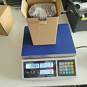 Molyveva Lamp Solar Courtyard Plug Lamp Outdoor Decoration Garden Ground Home Decor (White, Free Size)