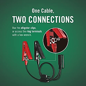 Battery Tender 3 AMP Battery Charger and Maintainer - Automotive Switchable 12V or 6V Smart Automatic for Cars SUVs and Trucks - Lead Acid, AGM, Gel, & Lithium Battery Charger - 022-0202-COS