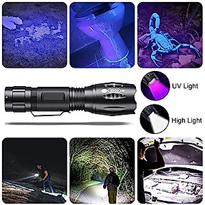 Black Light ,Flashlight, LED UV Torch 2 in 1 Blacklight with 500LM Highlight, 4 Mode, Waterproof for Pet Clothing Food Fungus Detection/Night Fishing/Travel