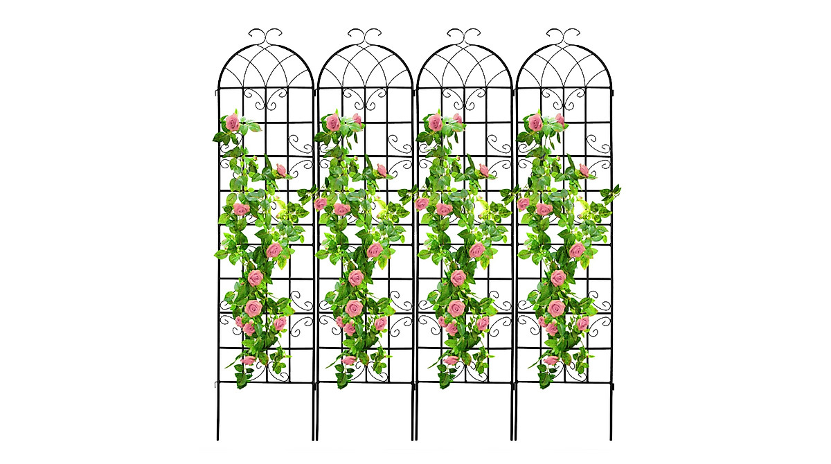 ZBPRESS 4 Pack Metal Garden Trellis for Climbing Plants