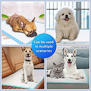Bulubaky 6 Layers Leak-Proof Super Absorbent Puppy Pads Pee Pads for Dogs, XXL Extra Large Thicken Polymer Quick Dry Dog Pads, Disposable Pet Training Pads for Dogs Cats Rabbit Parrots