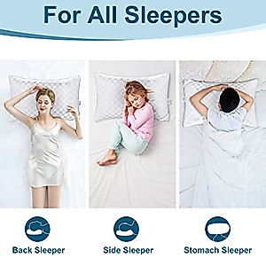 Swandream King Size Pillows Set of 2, Soft and Skin Friendly Down Alternative Pillow for Sleeping, Breathable Pillow for Back, Stomach or Side Sleepers, Grey, 20 * 36 Inches