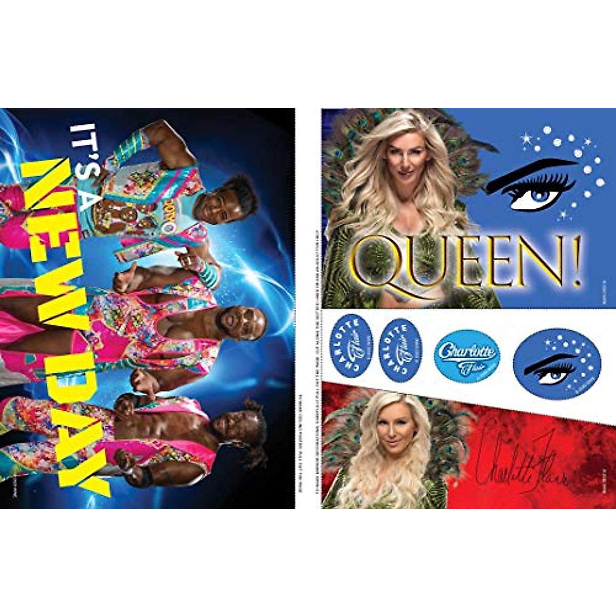 WWE Superstars and Legends Poster Book