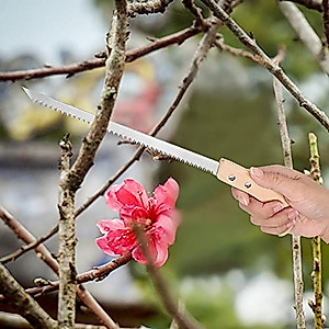 Bonsai Saw Narrow Small Tooth Saw Tree Saw Narrow for fruit trees
