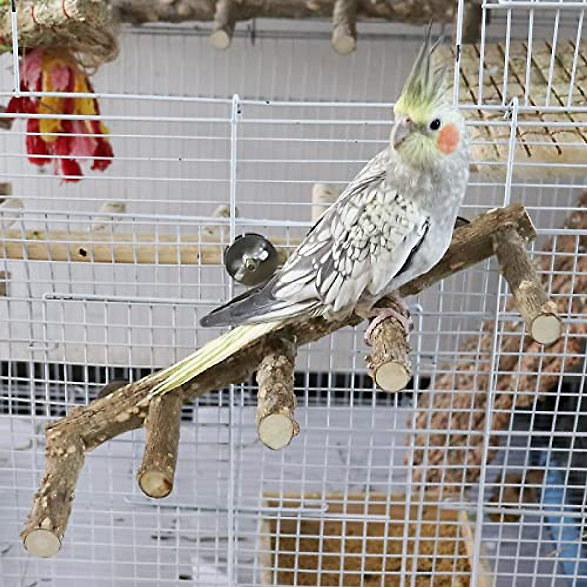 2 Pack Bird Ladder, Bird Perch Stand, Natural Prickly Ash Wood Bird Parrot Cage Accessories, Bird Standing Climbing Chewing Toys for Parakeet Cockatiel Rats Hamsters