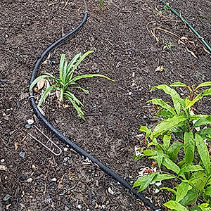 ECOgardener Extra Heavy Duty Galvanized Weed Barrier Landscape Fabric Staples