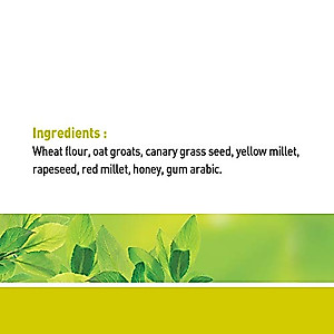 Living World Canary Honey Treat Sticks, 2-Ounce