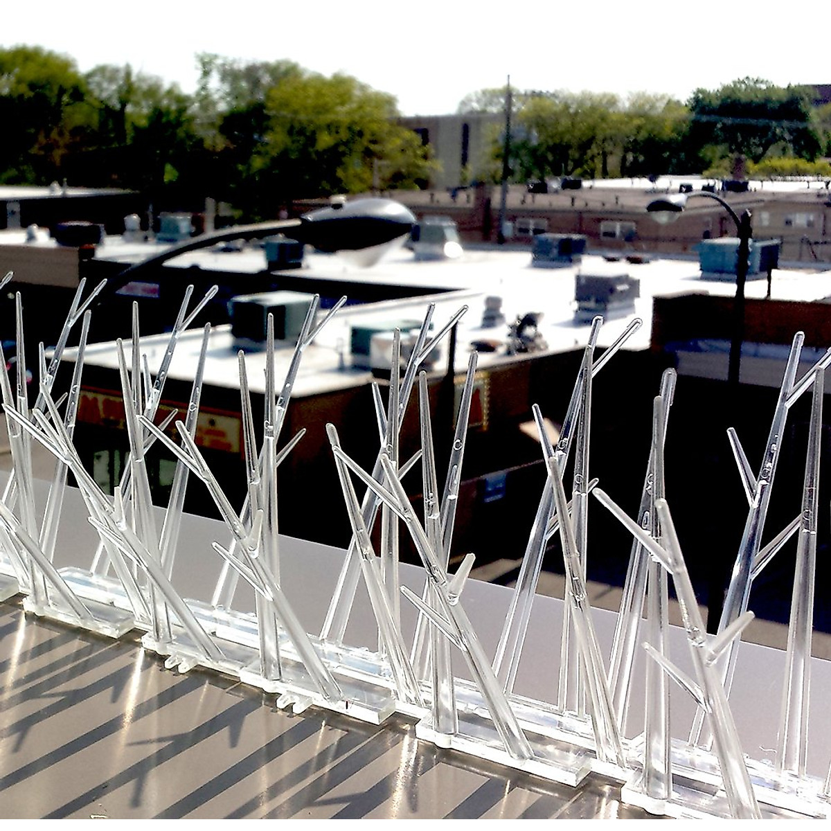 Bird-X, SP-10-NR Plastic Polycarbonate Bird Spikes Kit with Adhesive Glue, Covers 10 feet