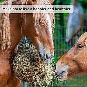 Woiworco 2 Packs Slow Feed Hay Net for Horses, 40 inch Length 2 x 2 inch Holes Goat Hay Feeder, Adjustable Nylon Hanging Hay Bags for Horse Goat Feed, Horses Stall and Trailer, Reduce Waste