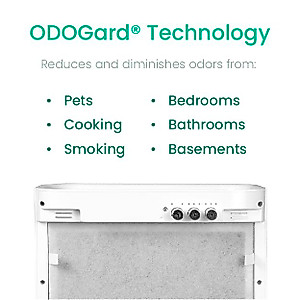 Greentech Environmental PureHEPA+ with ODOGard - Advanced HEPA Air Purifier and Odor Eliminator for Spaces up to 175 sq ft - CARB Certified