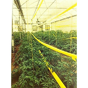 Olson Garden Guard Yellow 2" Wide by 100ft. Sticky Fly Ribbon Safe Non-Toxic