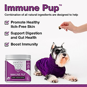 Pawlife All Natural Immune System Booster| Anti Allergy & Anti Itch for All Pups| Salmon Oil with Probiotics for Digestive Support|120 Veterinarian Formulated Soft Chews| Up to 4-Month Supply