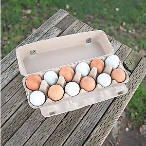 Egg Cartons (30-Pack) | 12 Count | Biodegradable & Recycled Pulp | Perfect for Family-owned Farm (Brown, 30)