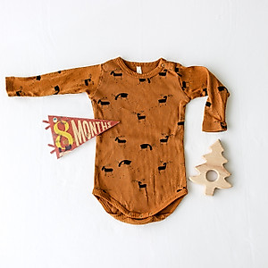 Lucy Darling Petit Milestone Pennants, 12 Felt Baby Monthly Milestone Banners for Baby Girl & Boy, Newborn Photography Props & Decor, Felt Pennant Flags, Perfect Baby Shower Gifts (Little Camper)