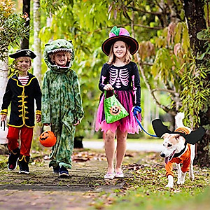 Chichome Dog Halloween Costumes Bat Wings Halloween Costumes Pet Bat Costume for Dogs Pet Cosplay Halloween Funny Cool Costume Halloween Outfits for Medium Large Dog, grey